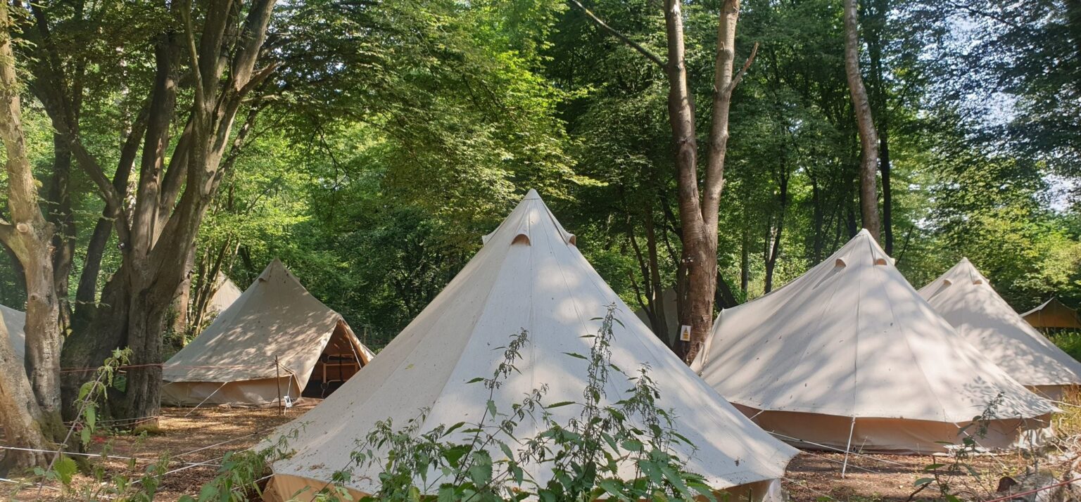 School Activity Centres near London| Wildchild Adventure